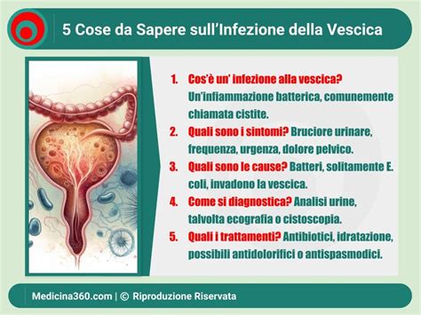 Tutto Su Infezioni Della Vescica Cause Sintomi E Trattamenti
