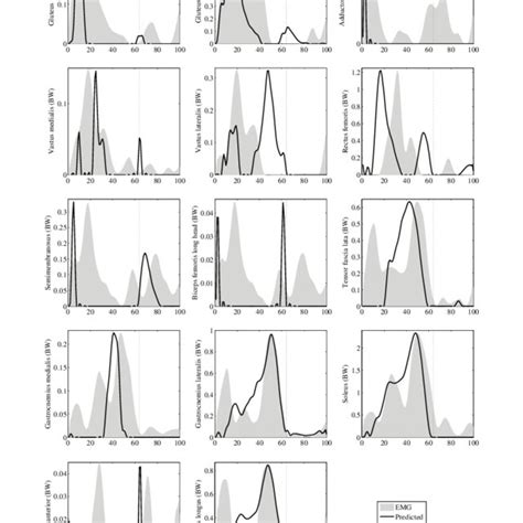 The Structure Of The Thyroglobulin Proteina Structure Of The Human