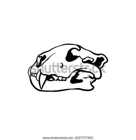 Dead Tiger Over 852 Royalty Free Licensable Stock Vectors And Vector Art