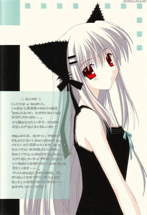 Nekos Girls Kawaii