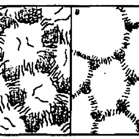 The Scheme Of Transition From Homogeneous To Cellular Dislocation Download Scientific Diagram