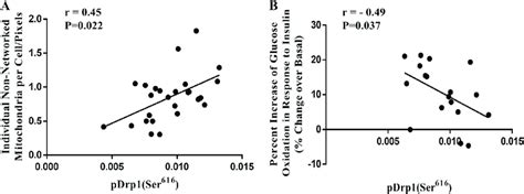 A Correlation Between Drp1ser 616 Phosphorylation And Individual
