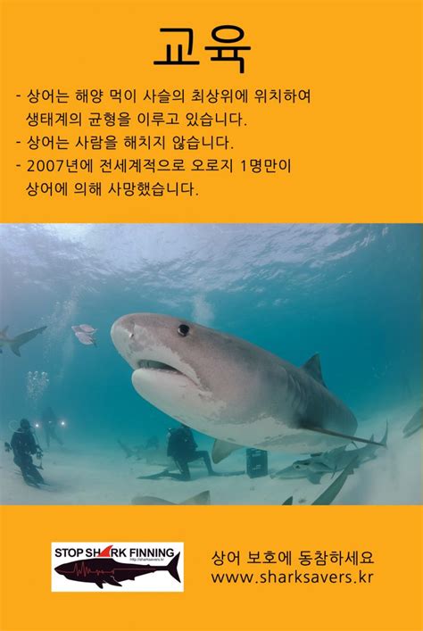 상어를 보호 합시다 Sharksaverskr