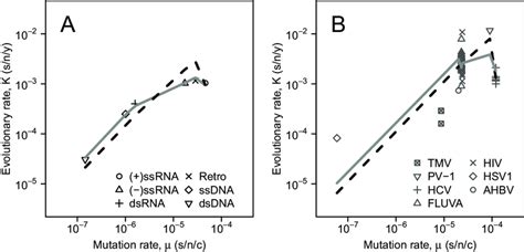 Fitting The Within Host Analytical And Deleterious Mutation Models To Download Scientific