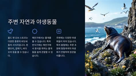스카이섬 올드 맨 오브 스토르old Man Of Storr 스코틀랜드의 자연 조각