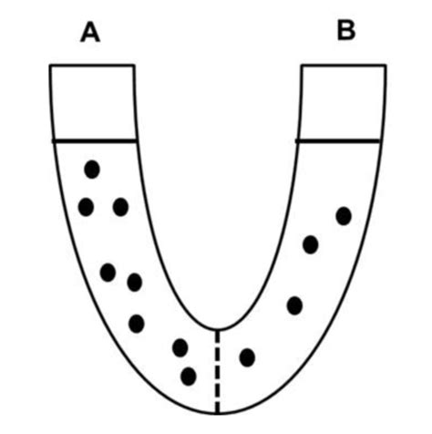Biology Exam 2 Flashcards Quizlet