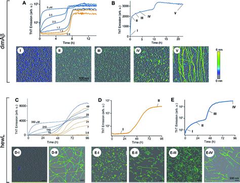 Transition From Sigmoidal To Biphasic Growth Kinetics Upon Oligomer