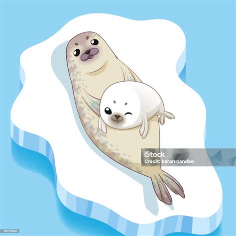 귀여운 물개 가족 만화 캐릭터 디자인 벡터 일러스트레이션 0명에 대한 스톡 벡터 아트 및 기타 이미지 0명 개체 그룹