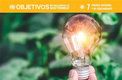 Consultoria Deportiva Estrategica Operativa Y Económica En El ámbito