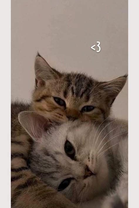 با آسمون عکس جذاب بگیر 🙃 2025 Yerler Fotoğrafçılık Seville