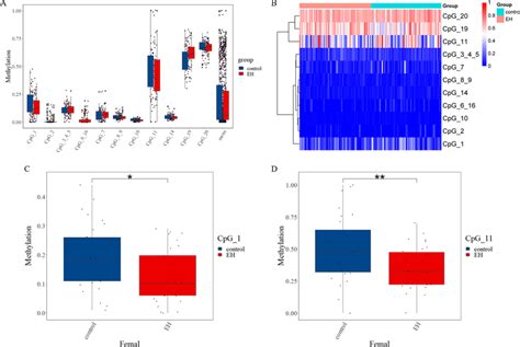 Analysis Of Methylation Results A Boxplot Of Methylation Levels At Cpg