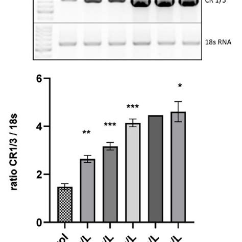 Induction Of The Carbonyl Reductase Gene In Mytilus Spp In A Field Download Scientific Diagram