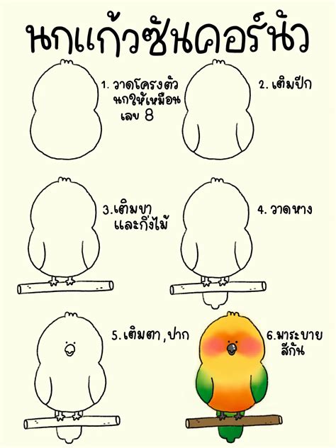 มาวาด🖍️ นกน่ารักๆ🦜💗 กันมั้ย Dookdook·˚ ༘♡が投稿したフォトブック Lemon8