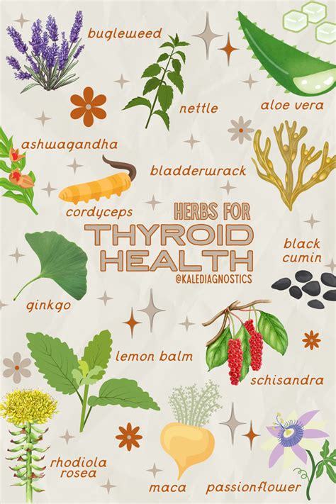 7 Herbs For Pcos Artofit