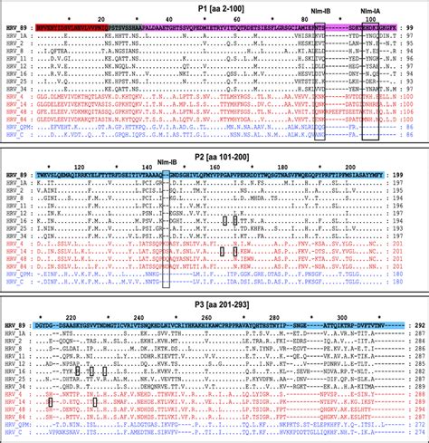 Multiple Sequence Alignment Of Vp1 Proteins Amino Acid Sequences Of