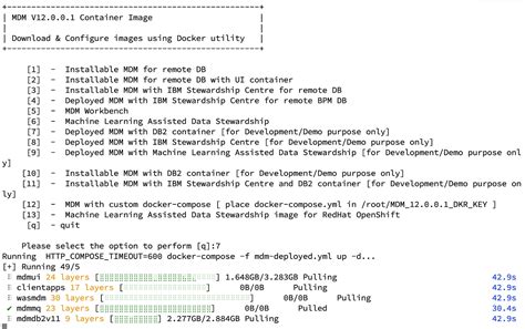 Ibm Master Data Management V12 And Feature Packs — Silent Installation