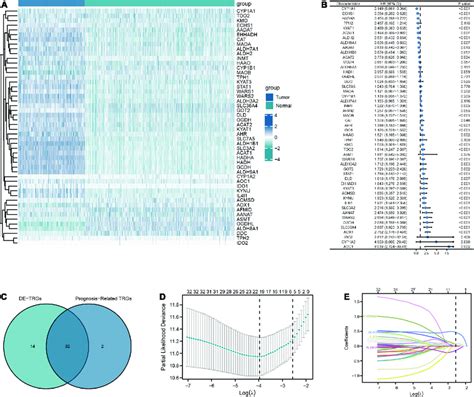 Screening For Key Trgs In Lgg Patients A The Expression Level Of 50 Download Scientific