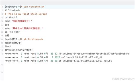 Shell脚本基础 Csdn博客