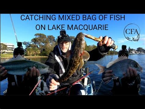 Fishing Lake Macquarie | catching bream | catching snapper | catching salmon | catching flathead ...