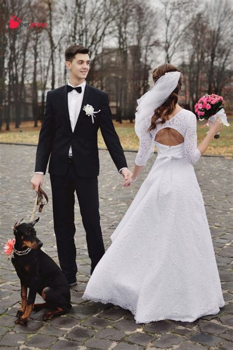 Planning A Dog Friendly Wedding A Comprehensive Guide Petpress