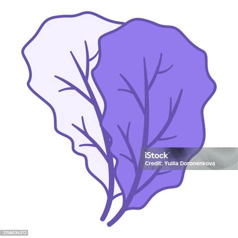 양상추 컬러 아이콘입니다 채식주의 음식 벡터 아이콘입니다 건강한 식습관 야채 개념 건강한 생활방식에 대한 스톡 벡터 아트 및 기타 이미지 건강한 생활방식 건강한 식생활