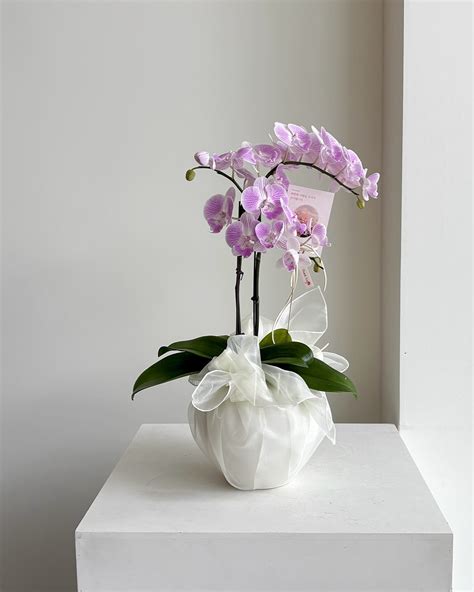 르플루플라워ㅣ대전꽃집 가오동꽃집 대전플라워클래스 비오는 날 화사하게 준비해 드리고 싶어서 노랑이 꽃들 가득 담아드린 꽃바구니💛 르플루꽃바구니 🫧클래스 상시 모집중