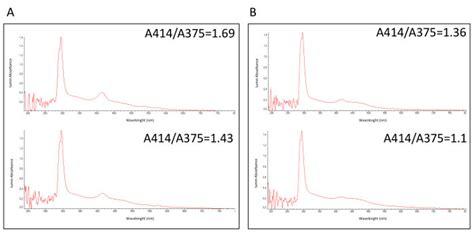 Spectrophotometric Analysis Of Fresh Plasma Samples Spectrophotometric Download Scientific