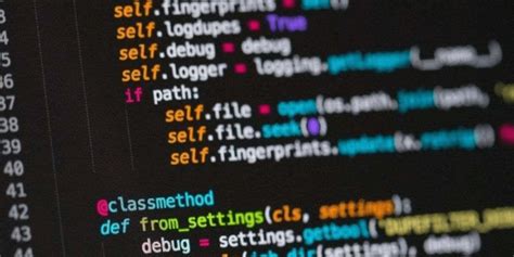 Bug Là Gì Tìm Hiểu Các Loại Bug Phổ Biến Trong Lập Trình