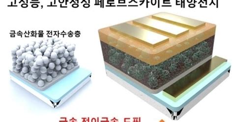 쥐포 구워먹던 교수 유레카 영감받아 금속산화물 도핑법 개발