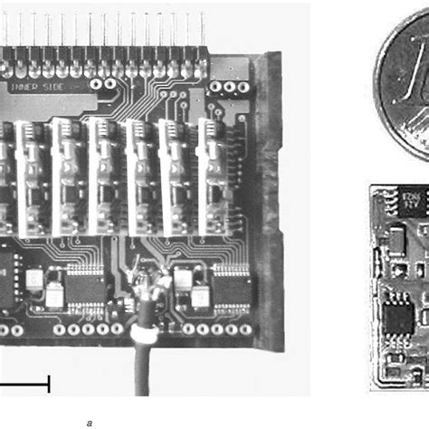 Technical Specifications Of Emg Probes Emg Probes Download Table