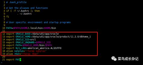 如何在linux Centos7下安装oracle11g的详细教程centos7安装oracle11g Csdn博客