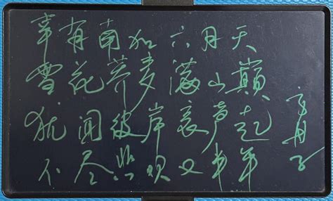方舟子 On Twitter 三探溪边栎树林，终于看到濒危的粘性永生花开花了。加州荞麦也开始漫山遍野地盛开，比去年晚了一个月。幸有南加六月天，雪花荞麦满山巅。犹闻彼岸哀声起，不尽悲欢又半年。