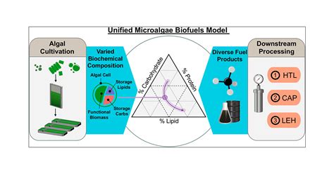 A Unified Modeling Framework To Advance Biofuel Production From Microalgae Environmental