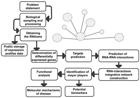 Cells Free Full Text Deciphering The Long Non Coding Rnas And Micrornas Coregulation