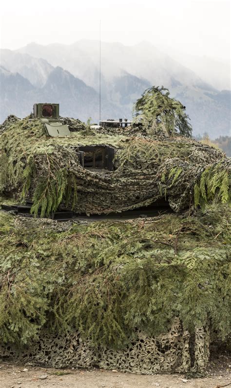Download Wallpaper The Barrel Tank Disguise Leopard 2 Section
