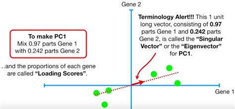 Code Programming Giới Thiệu Principal Component Analysis