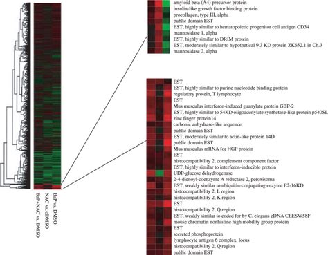 Dendrogram Depicting Hierarchical Clustering Relationships For Putative