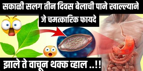 सकाळी सलग तीन दिवस बेलाची पाने खाल्ल्याने शरीराला जे चमत्कारिक फायदे