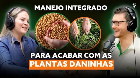 Aprenda as MELHORES TÉCNICAS de MANEJO de PLANTAS DANINHAS YouTube