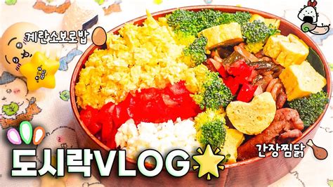 Vlog 단백질 폭탄 찜닭 도시락🍄│ 단짠 허니콤보 찜닭 삼색 소보로 덮밥 한국 봉지라면 Youtube