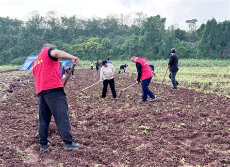 高新技术产业园区 抢抓农时大豆玉米带状复合种植播种忙