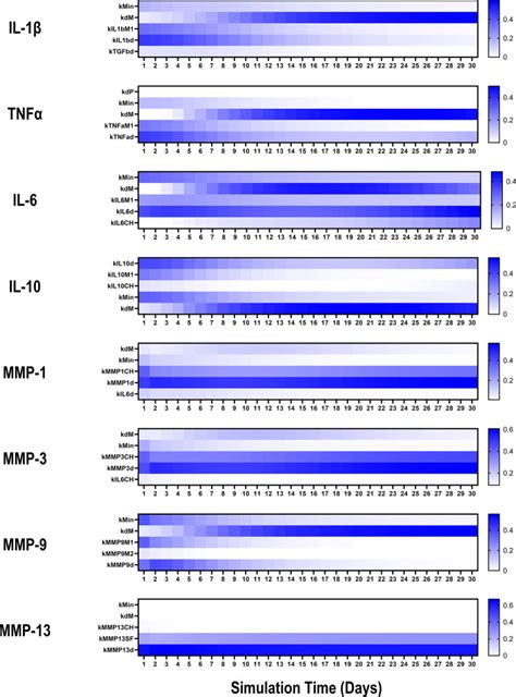 Unraveling The Complex Interplay Of Sex Endocrinology And