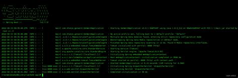 使用dockerfile部署springboot项目 入门级教程 简单易懂 阿里云开发者社区