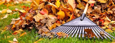 Autumn Lawn Care Turf Growers