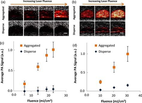 Photoacoustic Signal Amplification Through Plasmonic Nanoparticle Aggregation