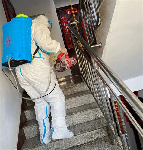 清水河县城关镇：紧密对接 协同发力 全力迎接驻呼学子平安顺利返回澎湃号·政务澎湃新闻 The Paper
