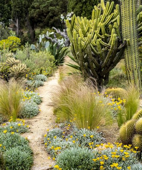 Xeriscaping How To Use This Landscaping Method In Your Yard Homes