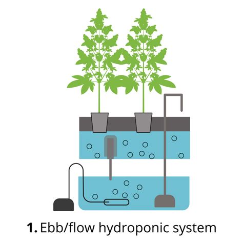 Hydroponic Tree Systems Nutraponics Store Premium Hydroponic Systems