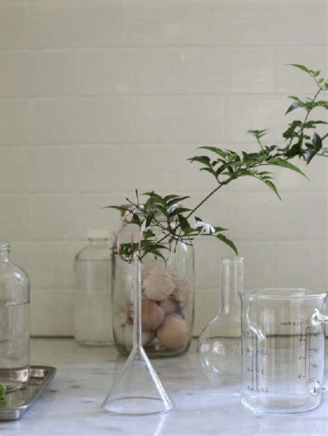 Trending On Gardenista High June Remodelista Web Story Remodelista