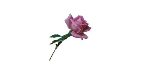 Margaret Kerr Obituary 1911 2012 Legacy Remembers